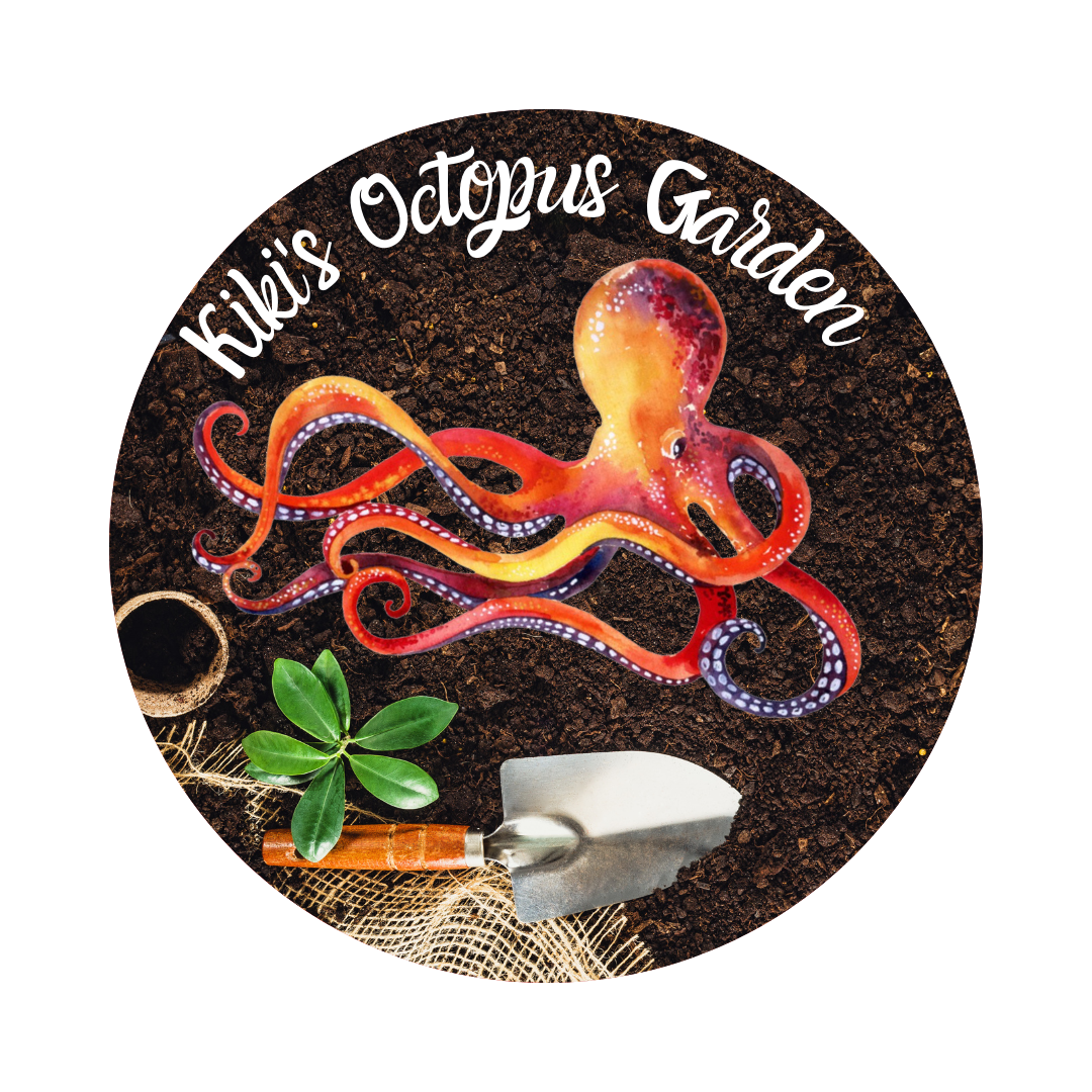 Red Gradient Profile Photo Instagram Post | Kiki's Octopus Garden